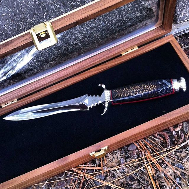 Buck Conifer Dagger with glass top presentation box